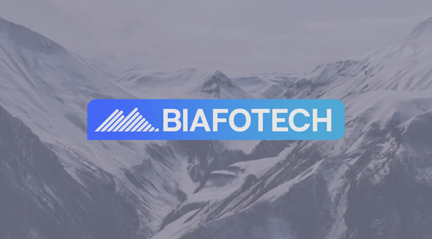 Biafotech: ERP Strategy & Implementation Biafotech: ERP Strategy & Implementation
